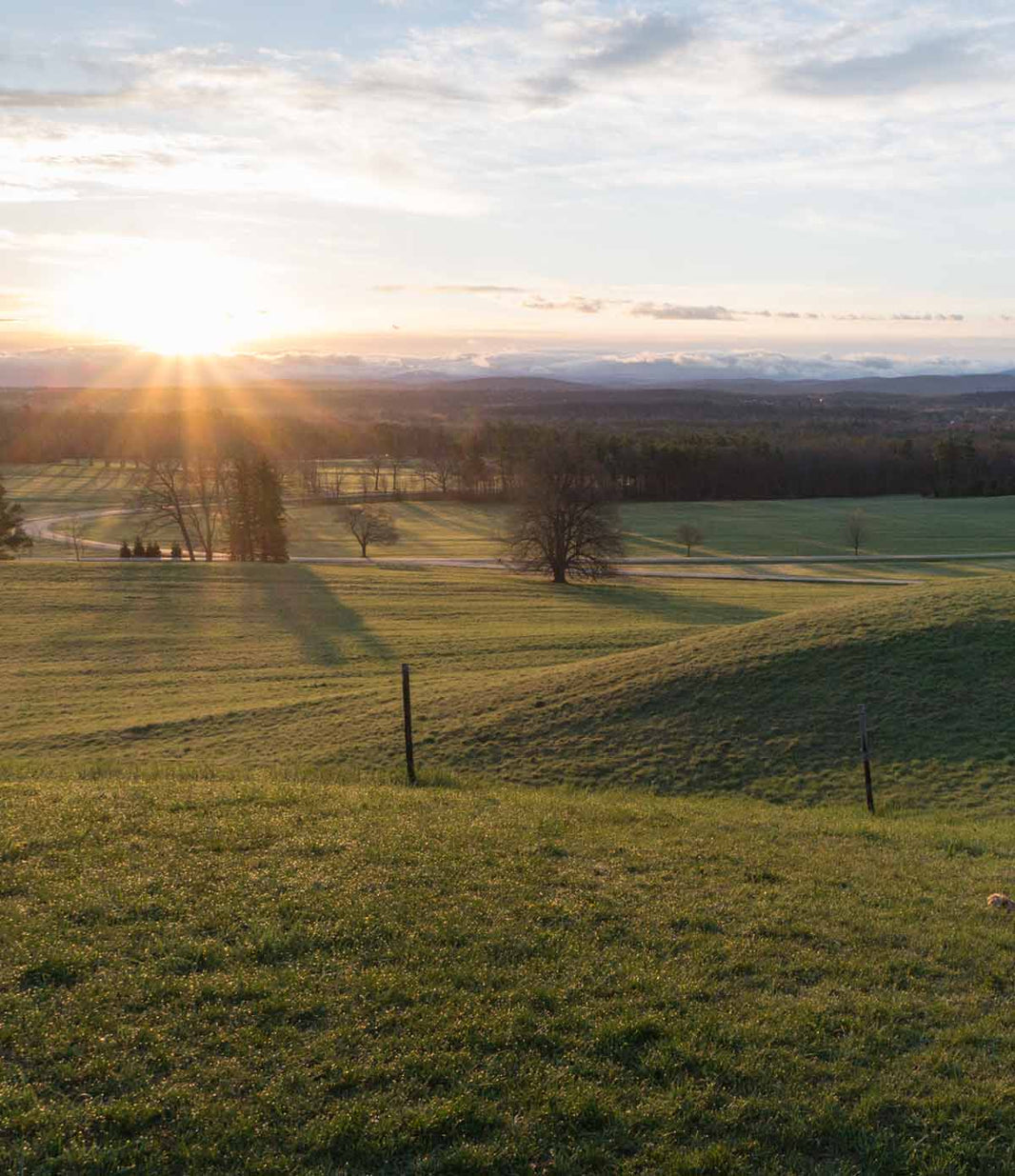 Women's Flannels Handcrafted in the USA - The Vermont Flannel Co. – The ...