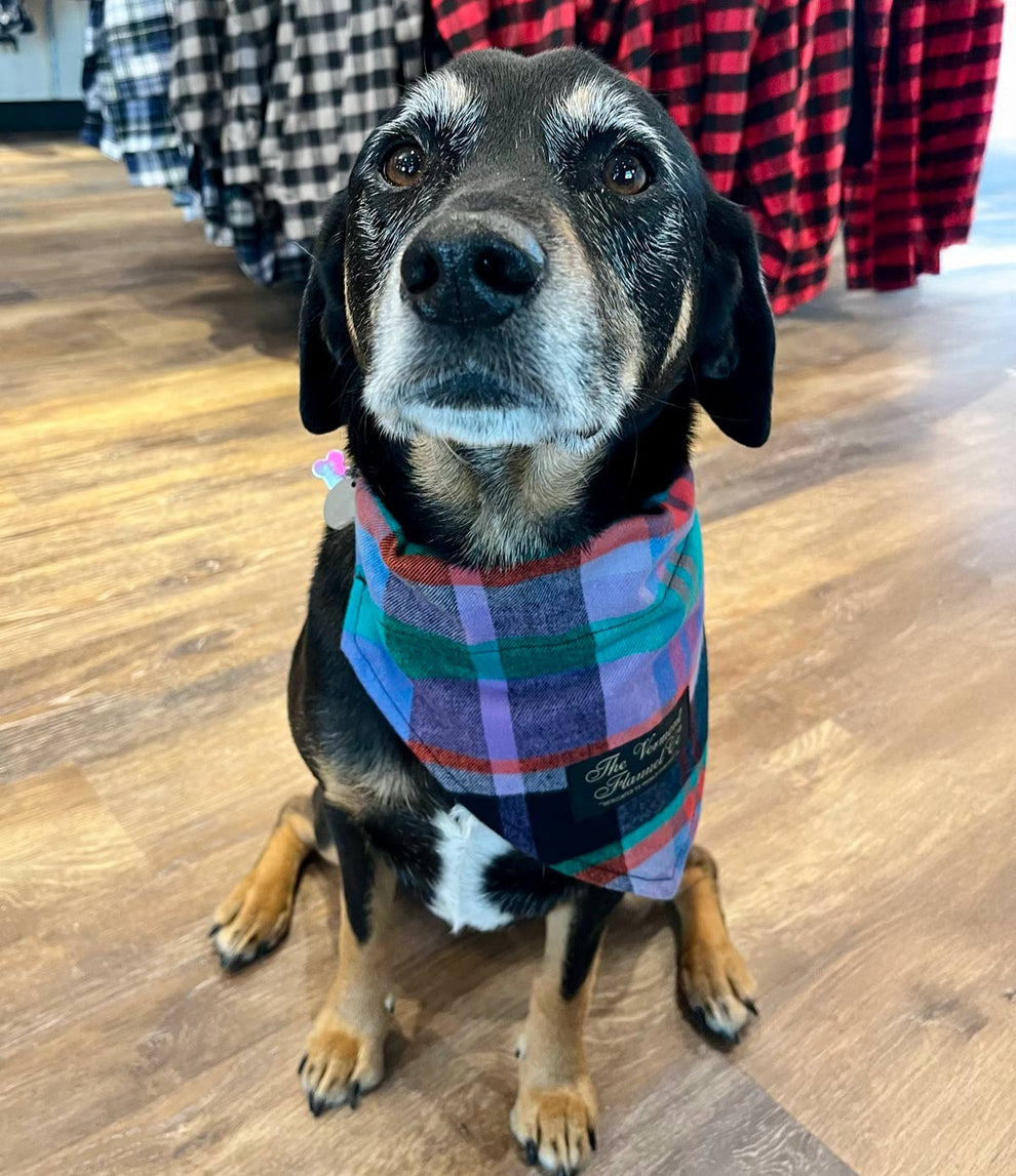 Flannel Dog Bandana - Garden Island | Handcrafted USA – Vermont Flannel